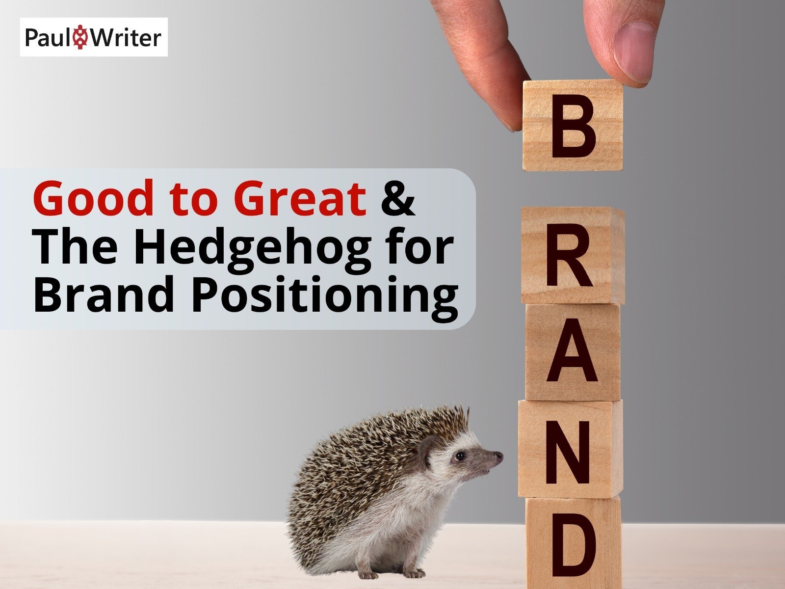 Good to Great & The Hedgehog for Brand Positioning - Paul Writer